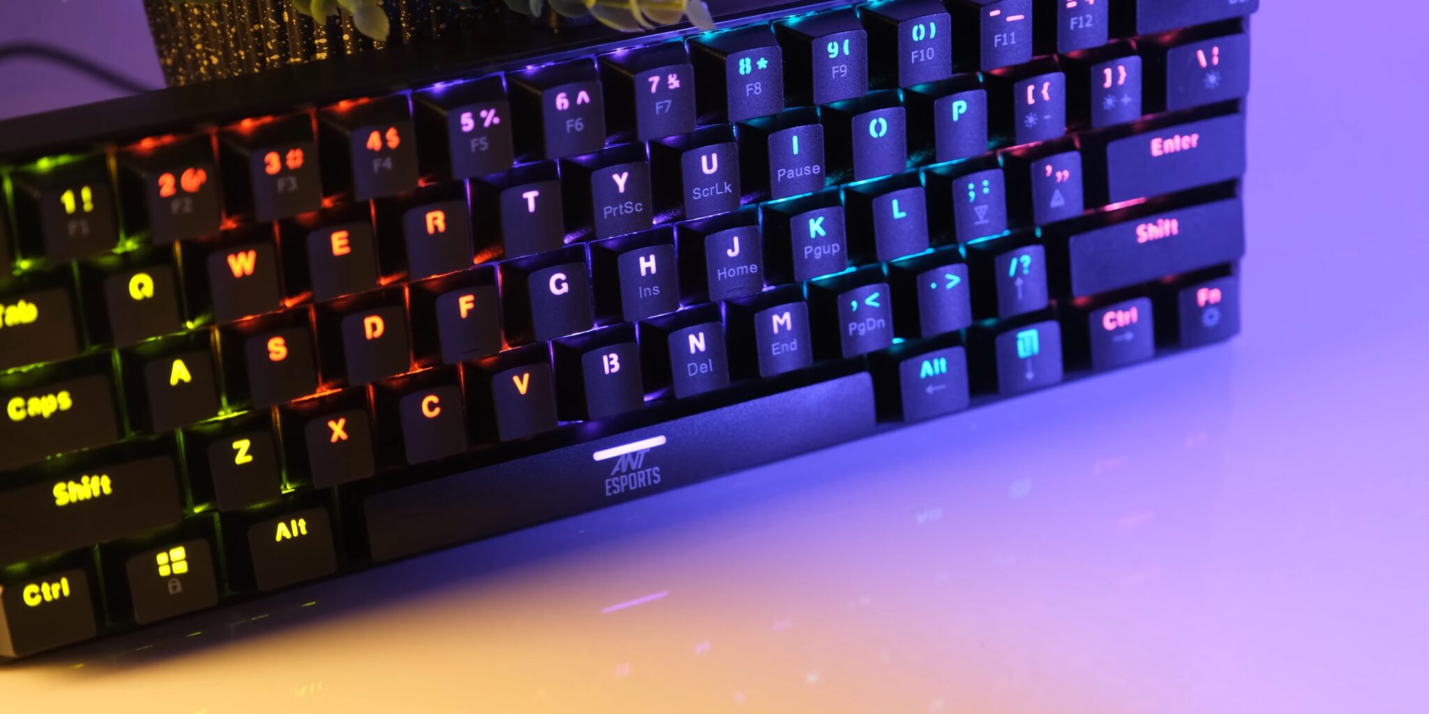 Ant Esports MK1200 Mini 60% Mechanical Keyboard Review: Excellent Value ...