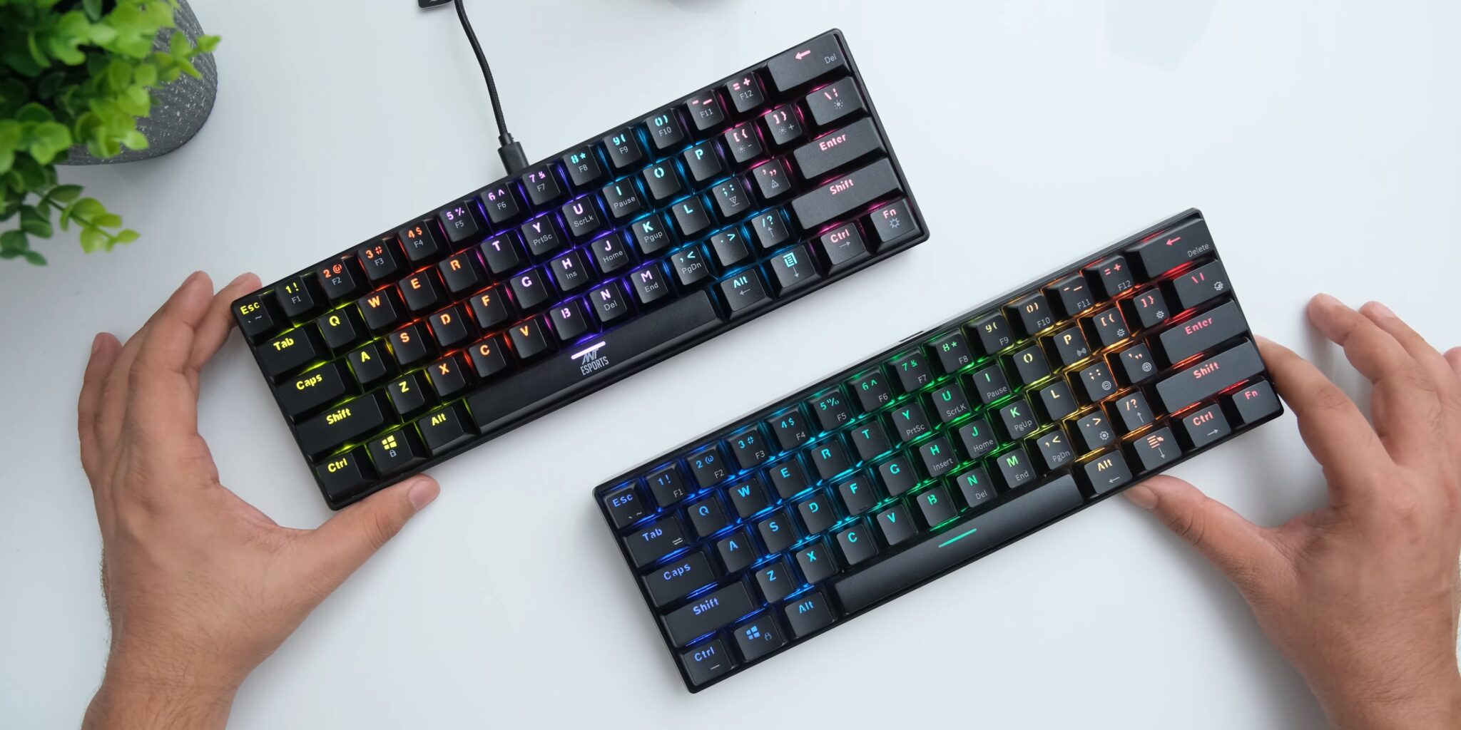 Ant Esports MK1200 Mini 60% Mechanical Keyboard Review: Excellent Value ...